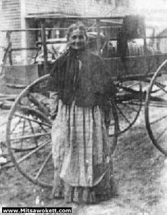 Mitsawokett: A 17th Century Native American Community in Central Delaware